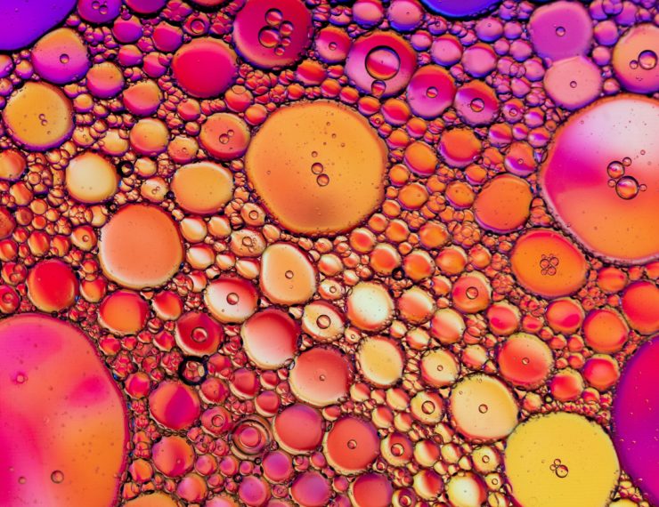 Research at Home: "I Wonder...": Reconnecting with Our Natural ...