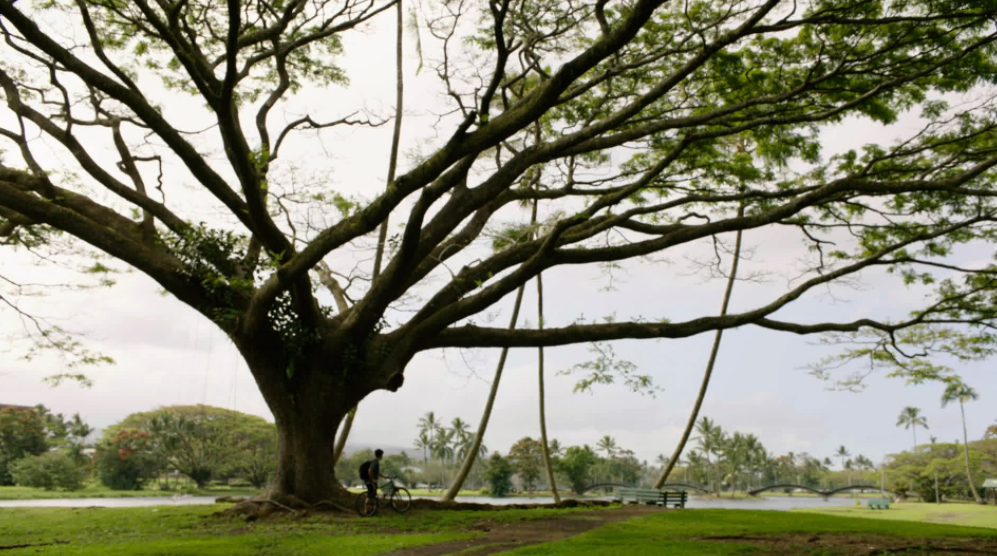 Documentary featuring Intel ISEF finalists to compete & premiere at ...