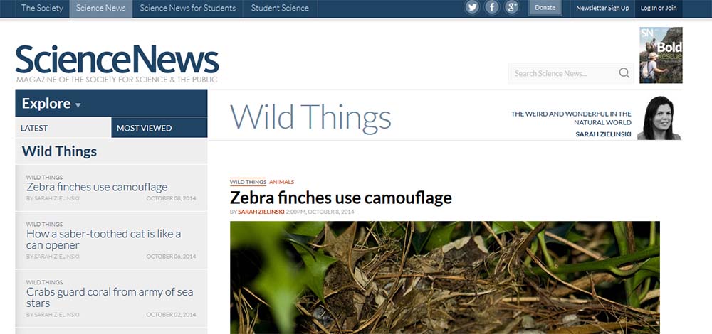 Science News bloggers interviewed about their experience – Society for ...